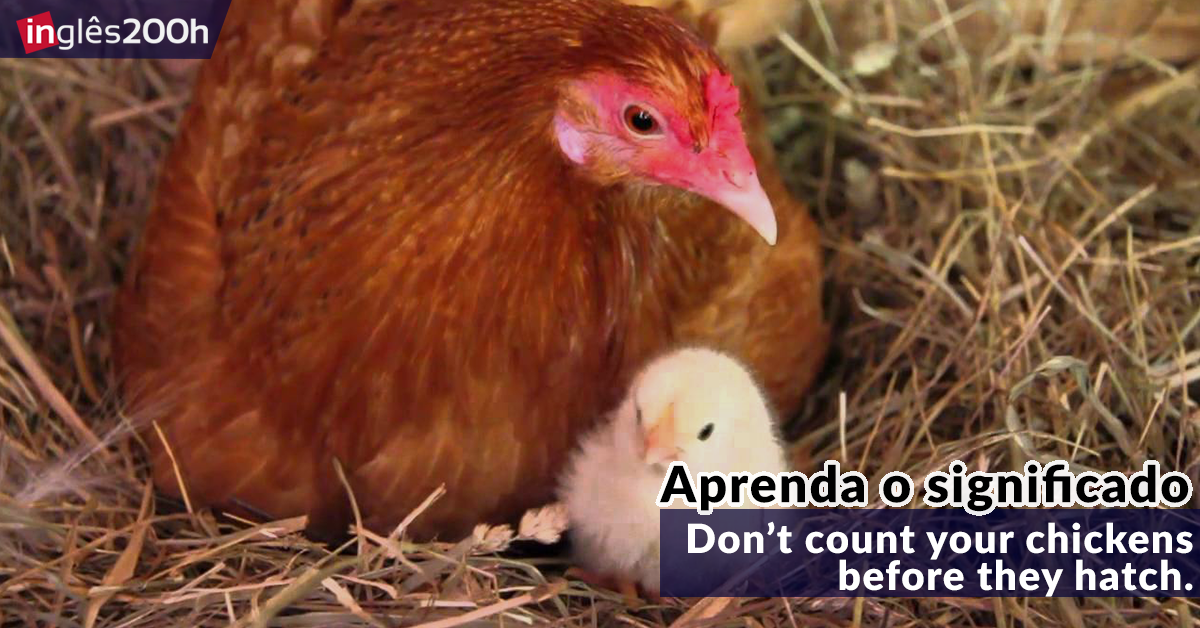 Confira os significados da expressão Count your chickens